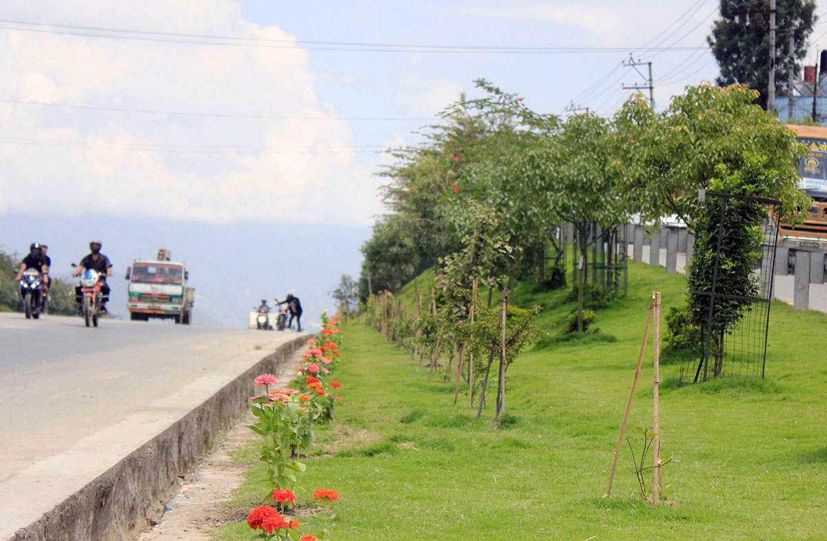 Ncell inaugurates its green-belt initiative - Nepal Minute :: Nepal ...