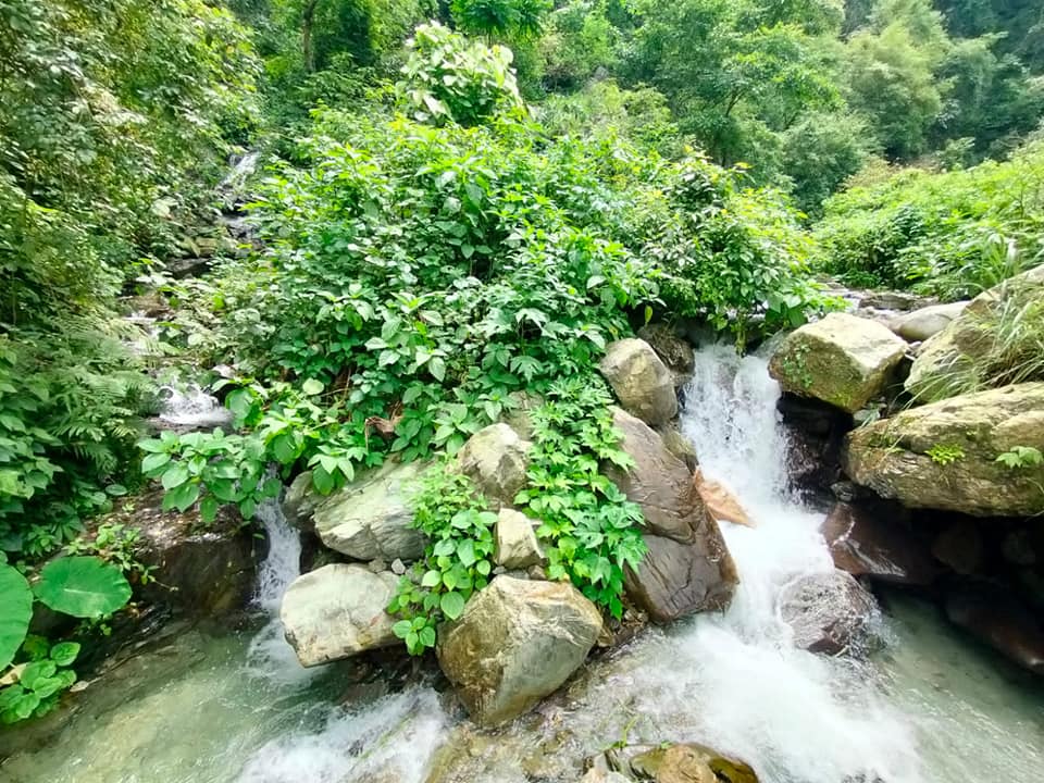 Dharan Mayor Harka Sampang steals limelight. Critics say it's for ...